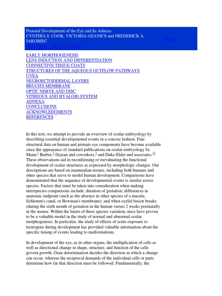 Prenatal Eye Development Overview | PDF | Cornea | Epithelium