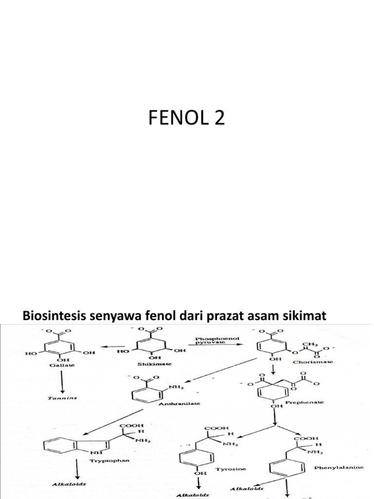 Fenol 2 | PDF | Sains & Matematika