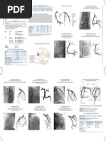 Orientation To The Cath Lab New | PDF | Percutaneous Coronary ...
