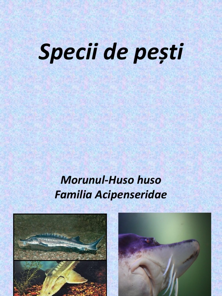 Specii de Pesti