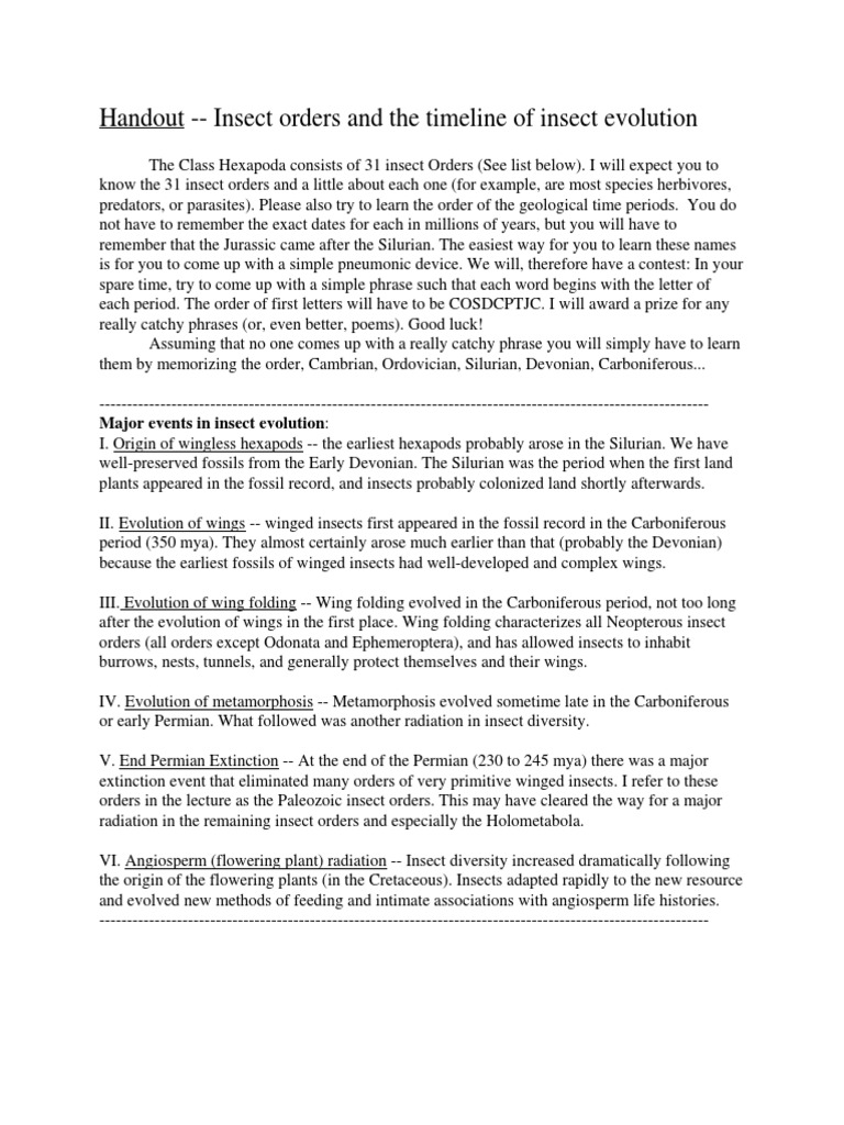 Handout - Insect Orders and The Timeline of Insect Evolution | PDF ...
