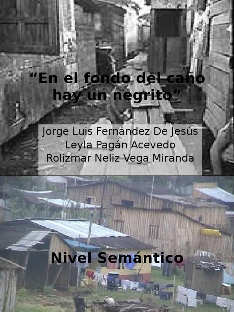 En El Fondo Del Cano Hay Un Negrito | PDF | Política (general)