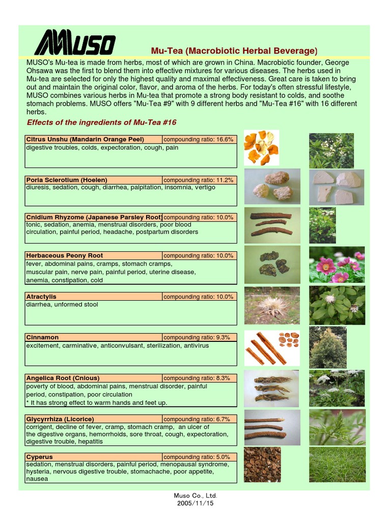 Mu-Tea Herbal Beverage Benefits & Ingredients | PDF | Cough | Diseases ...