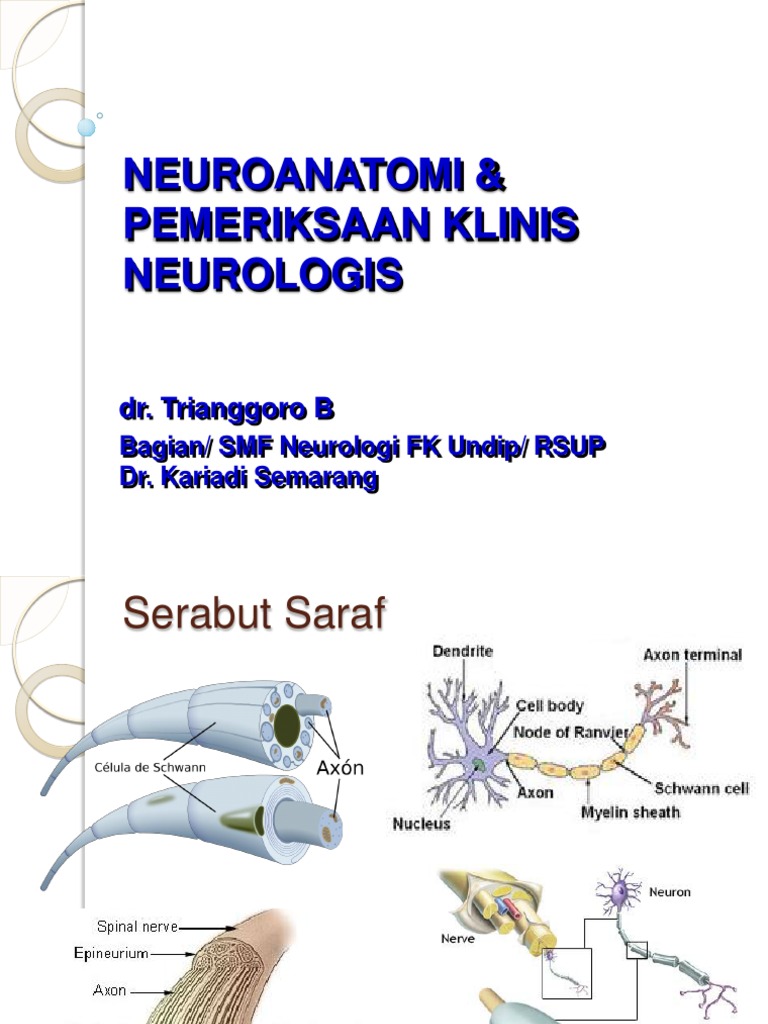 Pemeriksaan Neurologi | PDF
