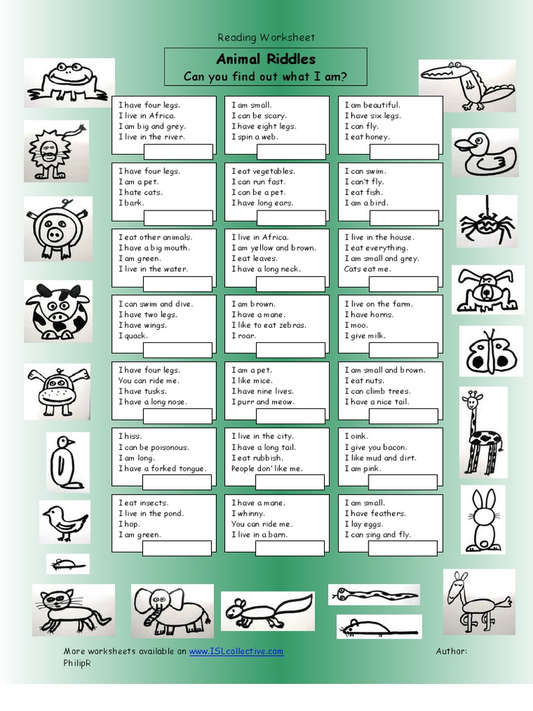 Animal Riddles Reading Worksheet | PDF | Leisure | Nature