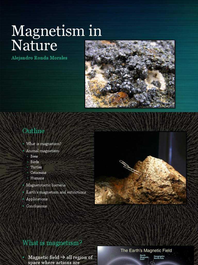 Magnetism in Nature | PDF | Earth's Magnetic Field | Magnetism