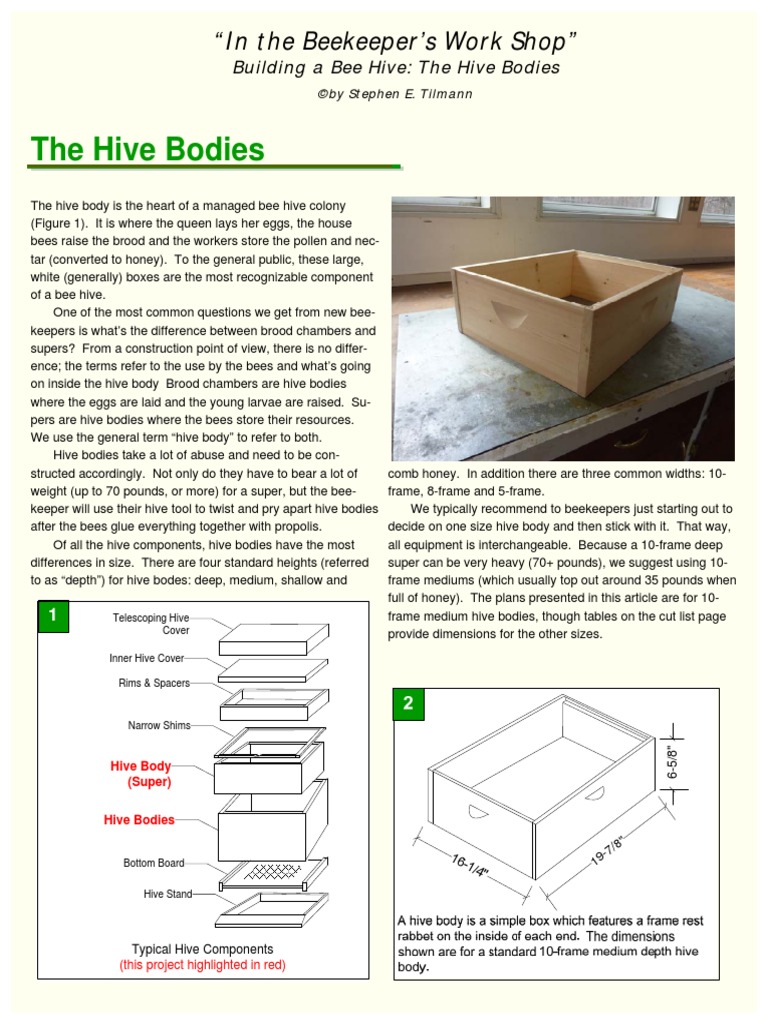Hive-Bodies_20110323 | Beehive | Beekeeping