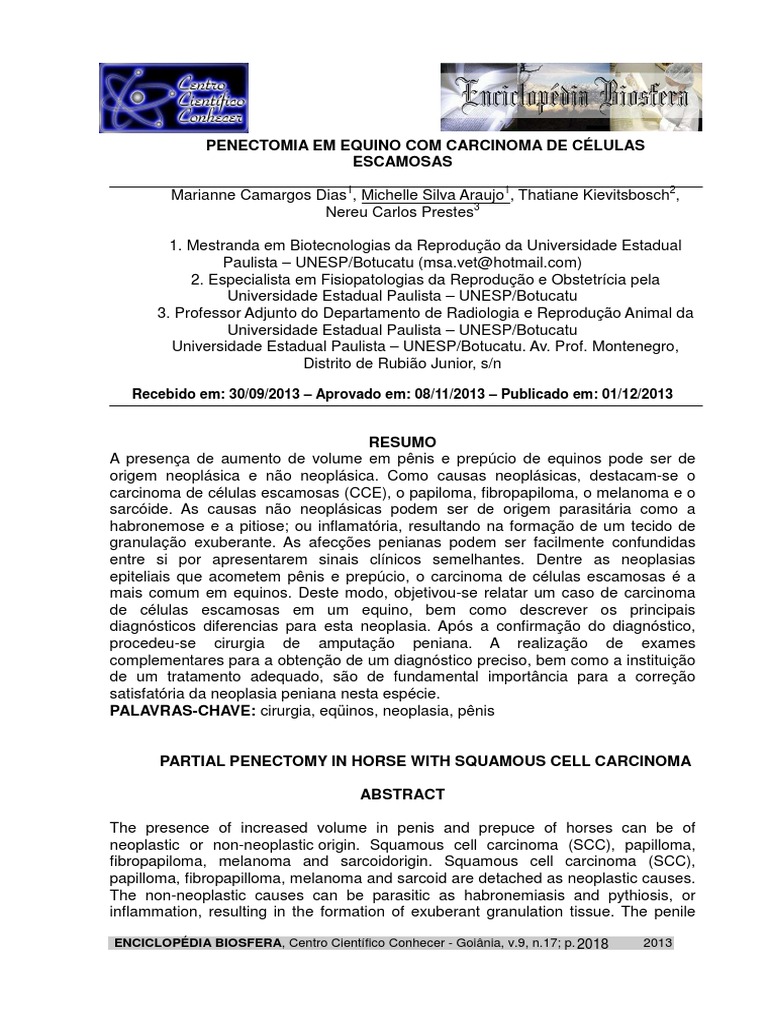 Penectomia.pdf | Carcinoma | Pênis