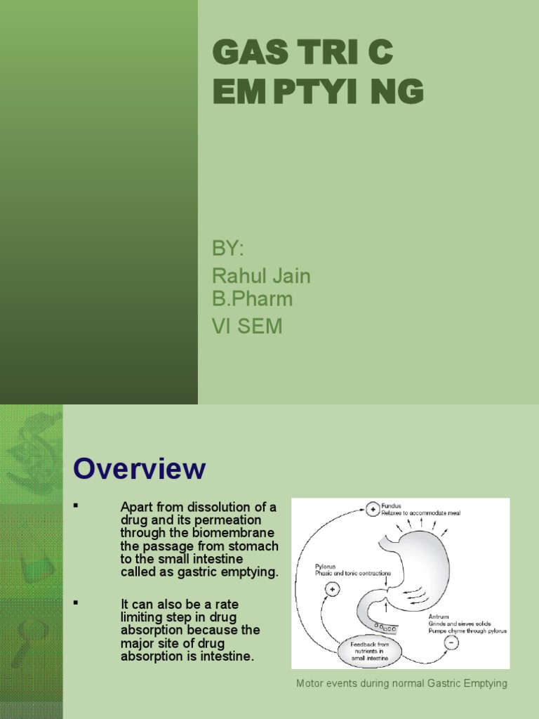 Gastric Emptying Presentation | PDF | Stomach | Gastrointestinal Tract