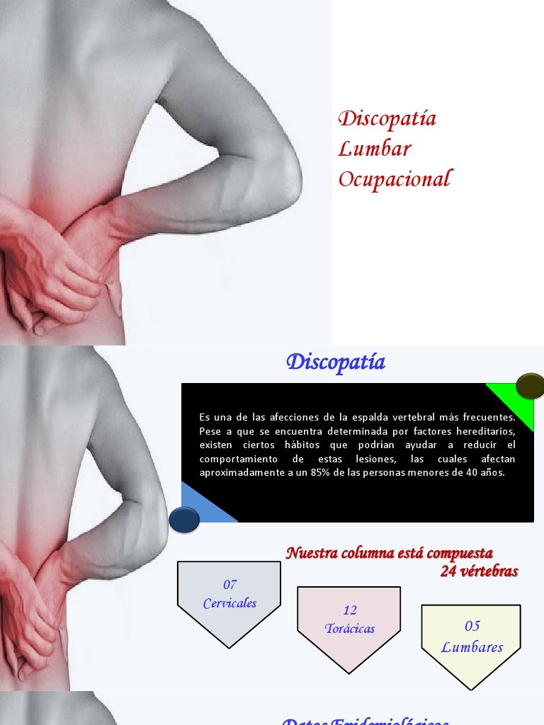 Discopatia Lumbar | PDF | Vértebra | Sistema musculoesquelético