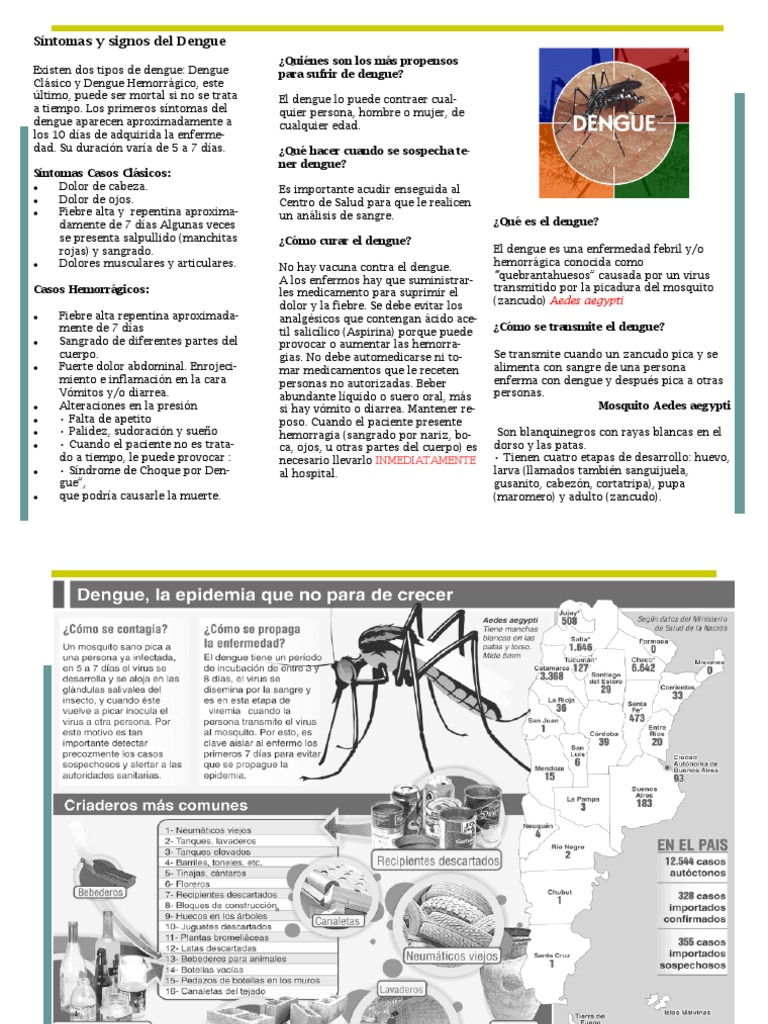 Triptico Del Dengue | Salud pública | Microbiología