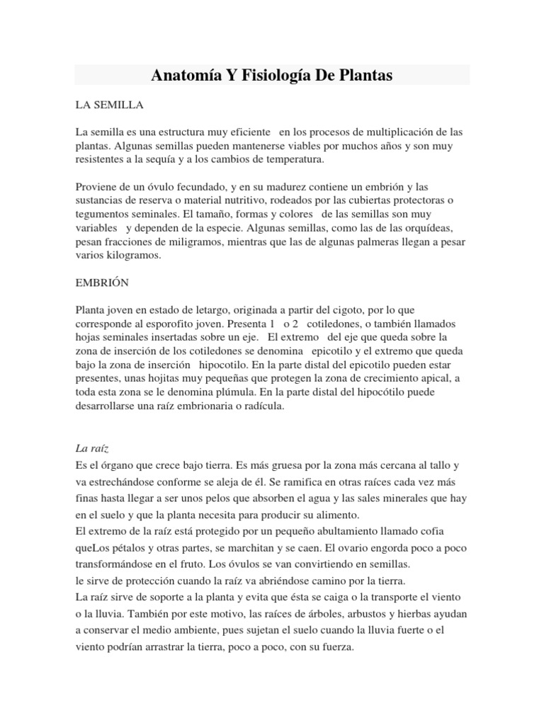 Anatomía Y Fisiología de Plantas | PDF | Hoja | Tallo de la planta