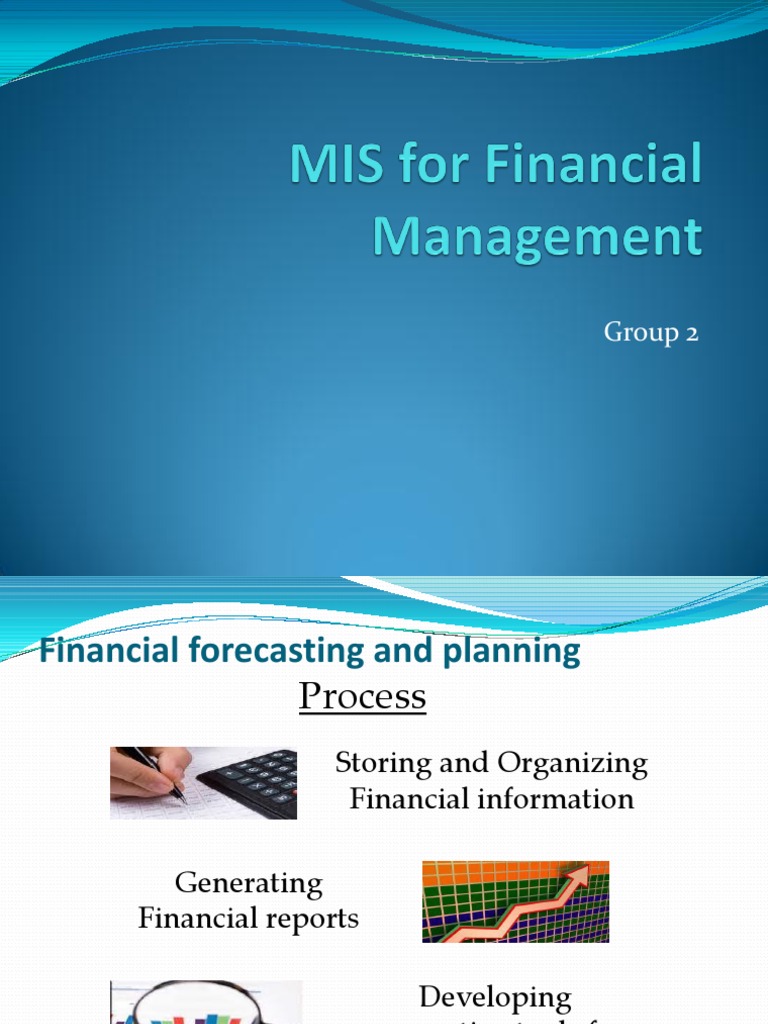 MIS in Finanancial Management | PDF | Financial Transaction | Customer ...