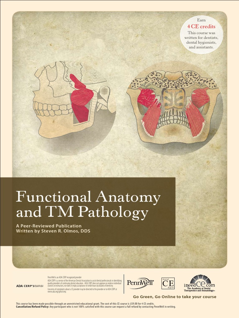 Functional Anatomy and TMJ Pathology | PDF | Anatomy | Animal Anatomy