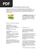 Lubby Santa | PDF | Horticulture And Gardening | Plants