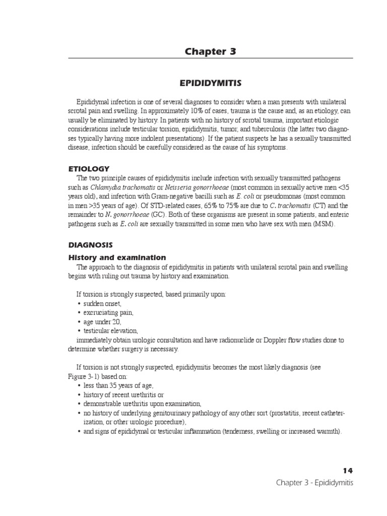 ch3 Epididymitis | PDF
