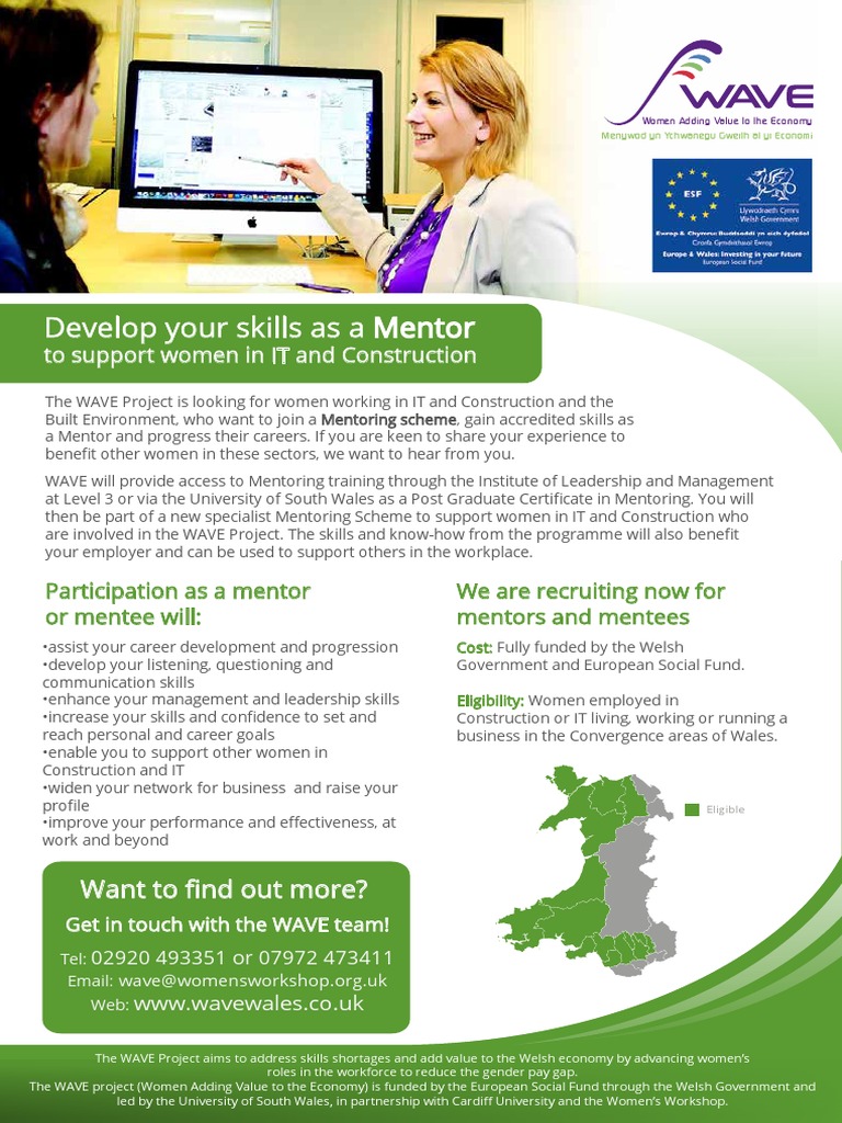 Mentoring Flyer Nov 2013 | PDF | Mentorship | Employment