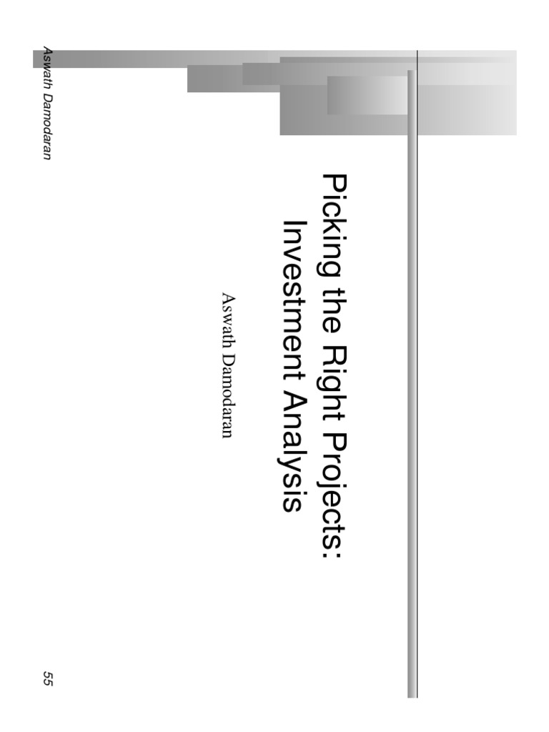 Investment Project | PDF