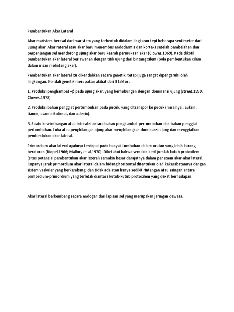 Akar Lateral - Ar Lateral | PDF