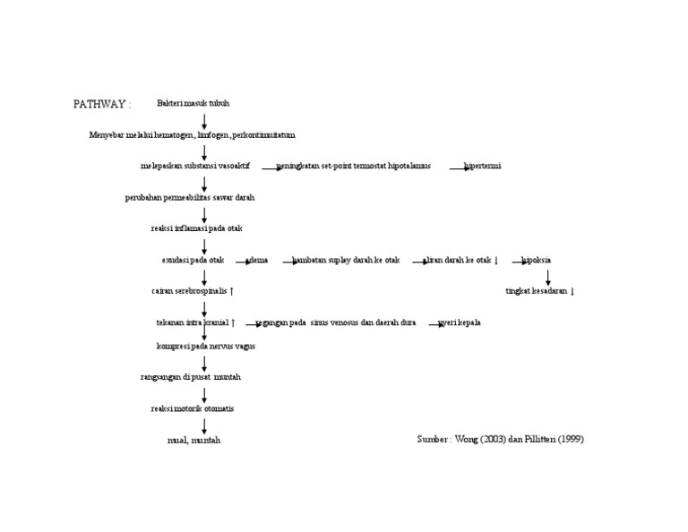 Pathway Meningitis | PDF