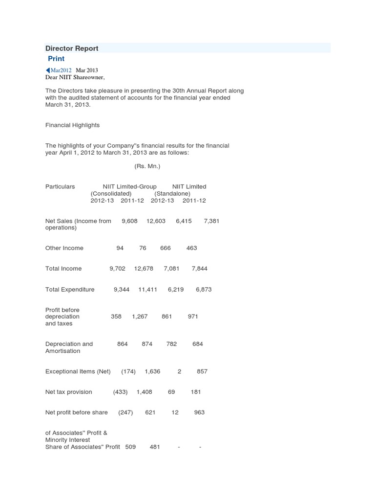 Print: Director Report | PDF | Corporate Governance | Financial Statement