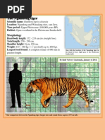 Lion vs Tiger: Mass Comparison Analysis | PDF | Tiger | Lion