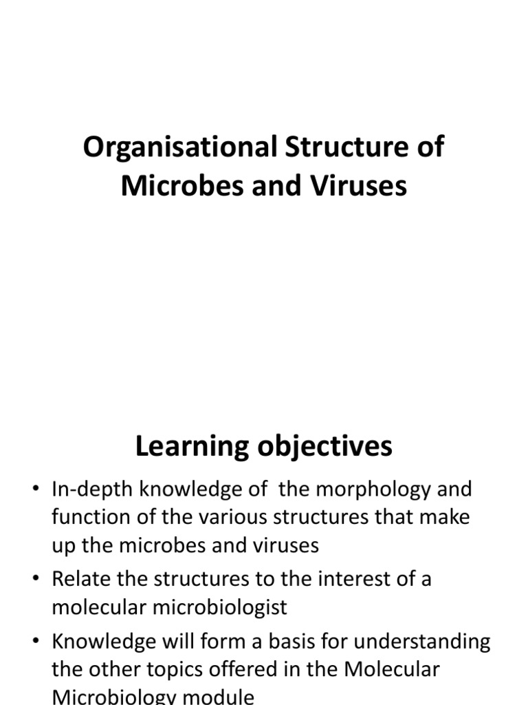 Structure of Microbes | PDF | Cell Membrane | Bacteria