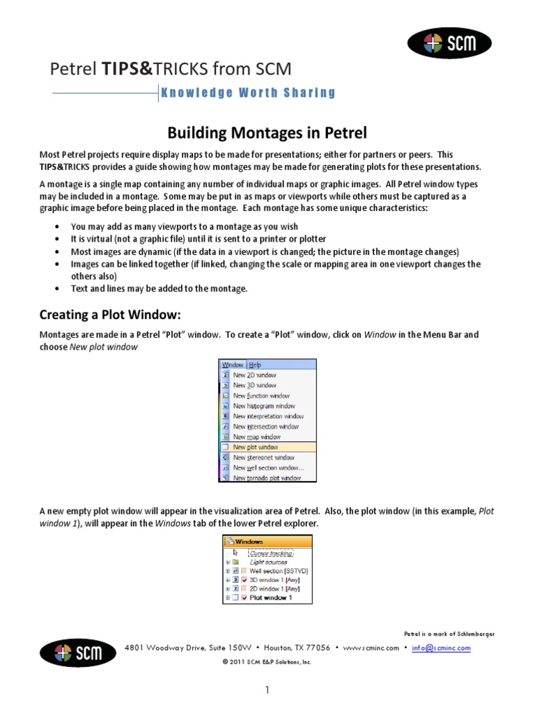 SCM Building Montages Petrel 2010 | PDF | Cursor (User Interface) | Icon (Computing)
