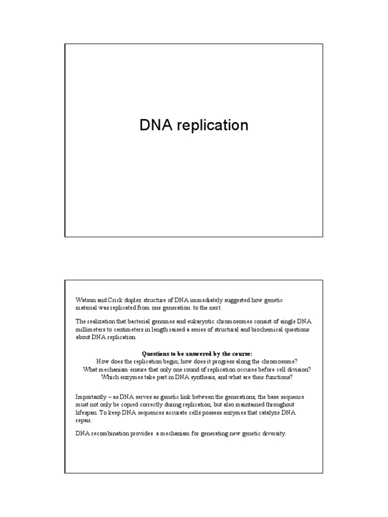 DNA Replication | PDF | Dna Replication | Dna