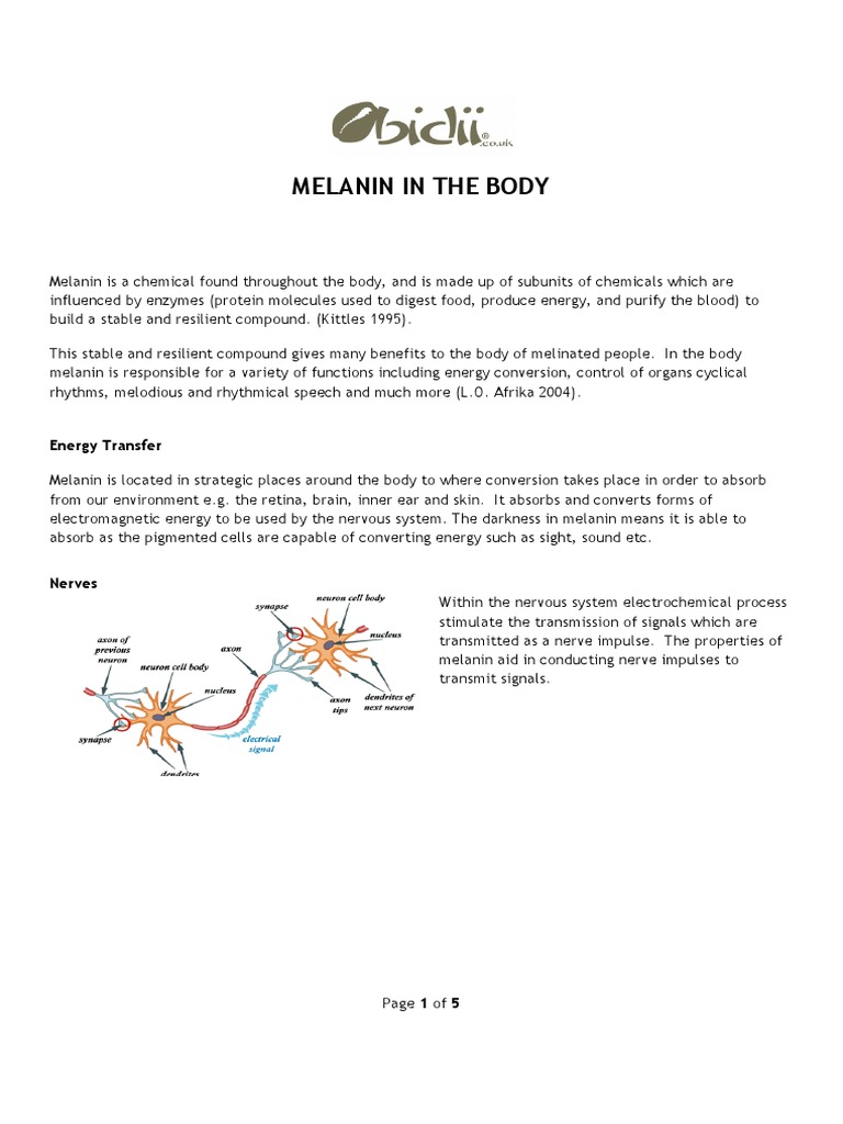 Benefits of Melanin in the Body | PDF | Dopamine | Brain