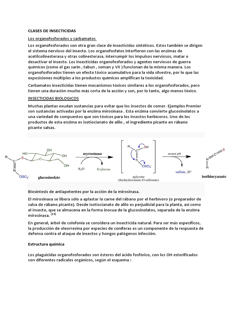 Tipos y Clases de Insecticidas | PDF | Insecticida | Toxicidad