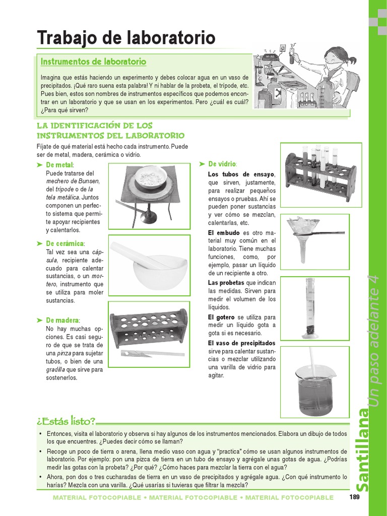 Instrumentos de laboratorio para primaria | PDF | Laboratorios | Science