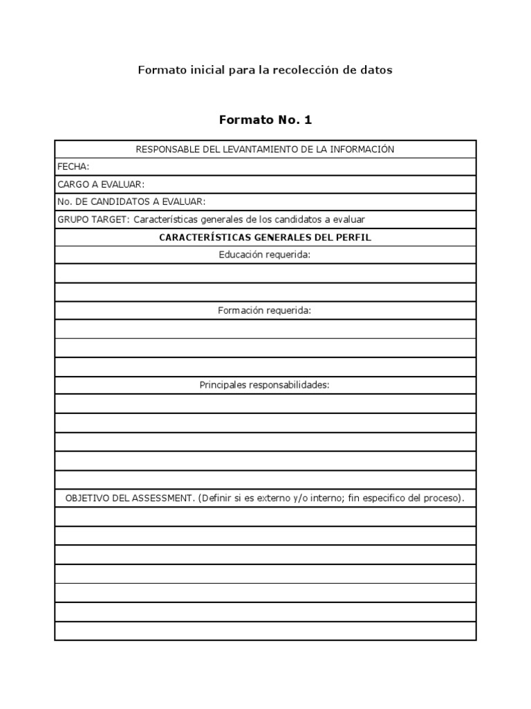 Formato Inicial para La Recolección de Datos | PDF