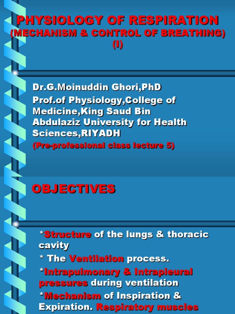 6.physiology of Respiration (Mechanism of Breathing) | PDF | Lung ...