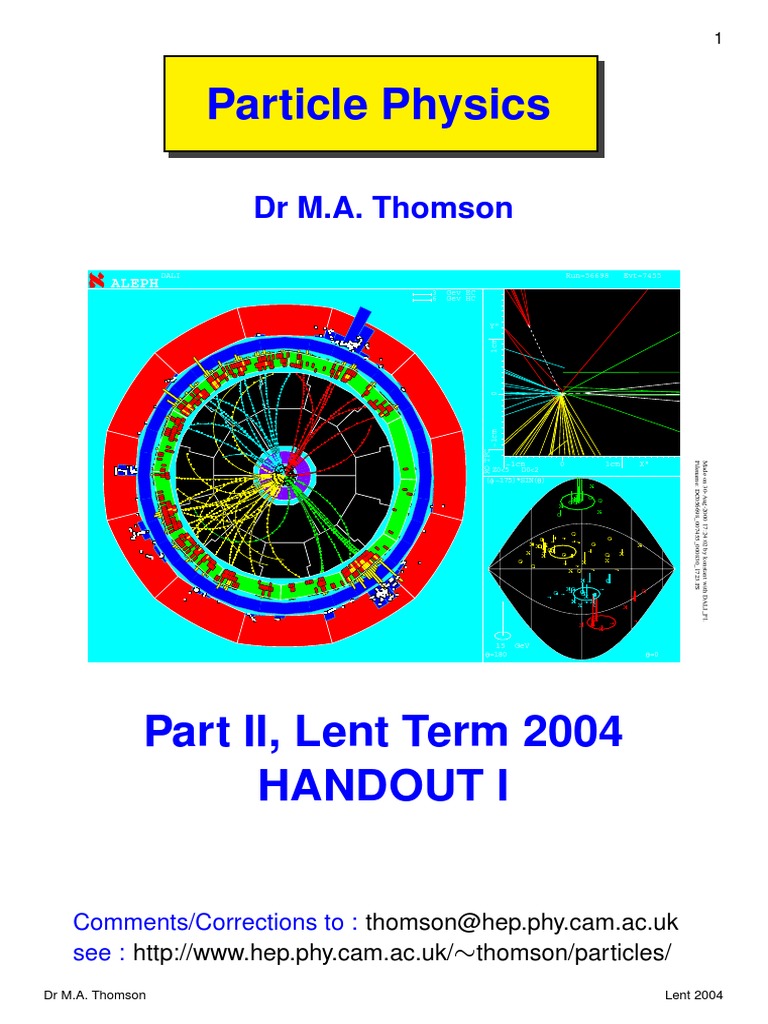 1 Introduction To The Standard Model | PDF