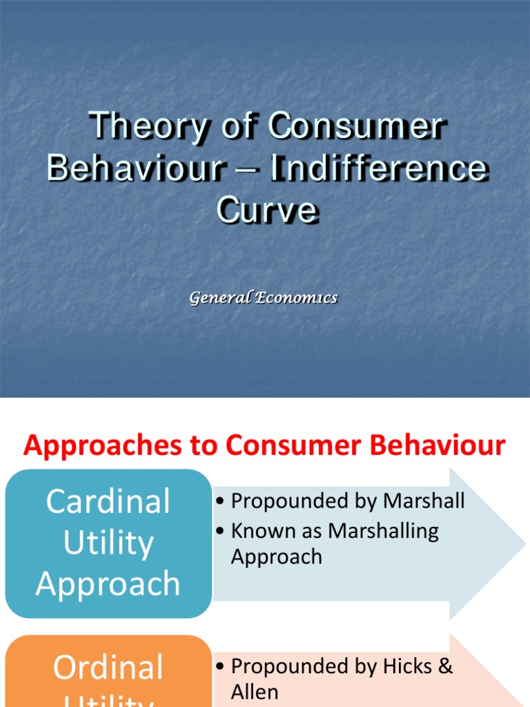 Theory of Consumer Behaviour | PDF