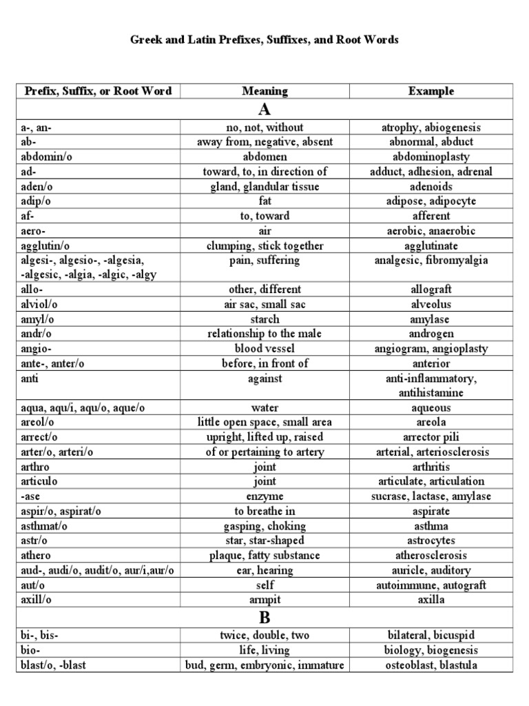 Greek and Latin Prefixes | PDF