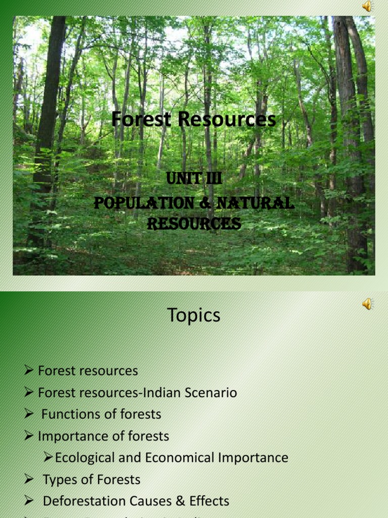 Understanding India S Forest Resources Types Functions Importance