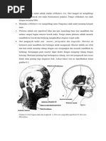 Regio Kepala Dan Leher Anatomi Topografi | PDF