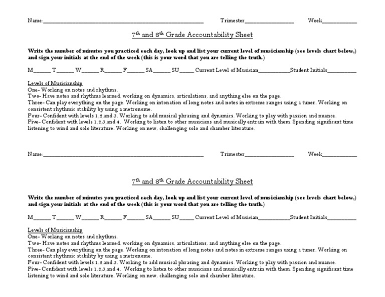 Accountability Sheet | PDF