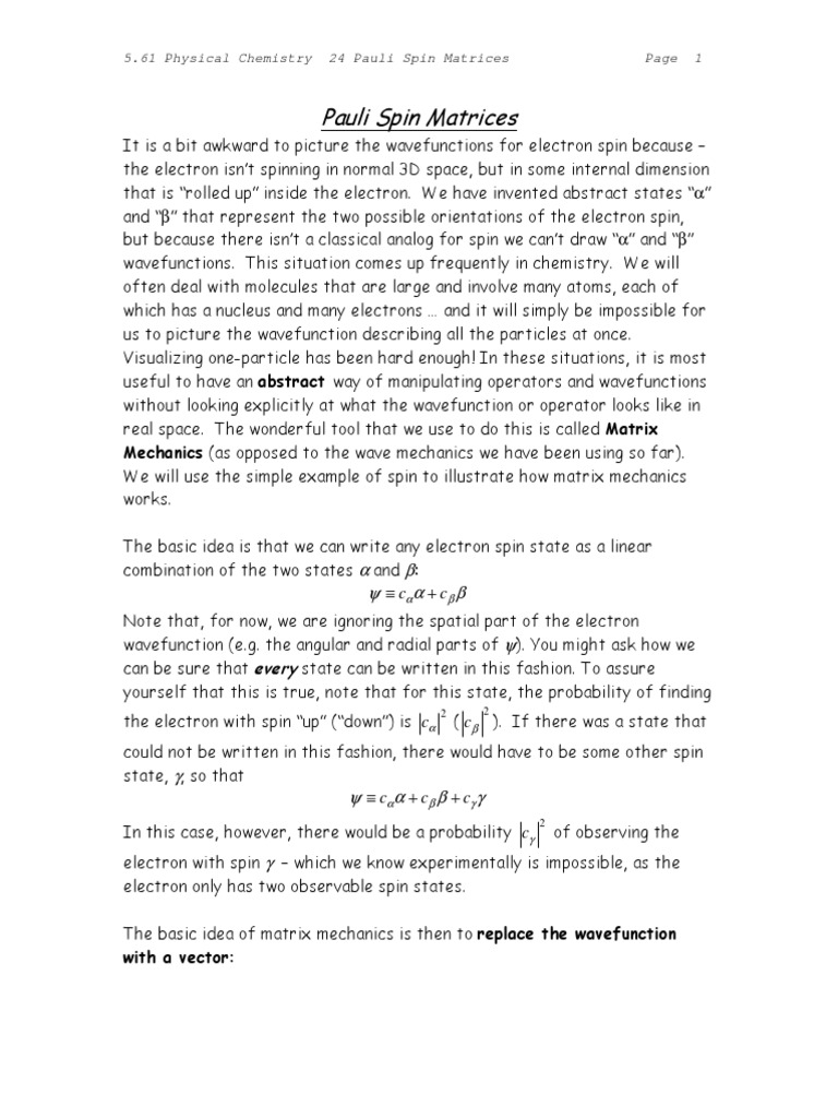 5 61 Physical Chemistry 24 Pauli Spin Matrices Pdf