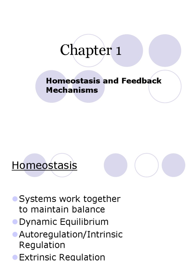 Homeostasis & Feedback Basics | PDF