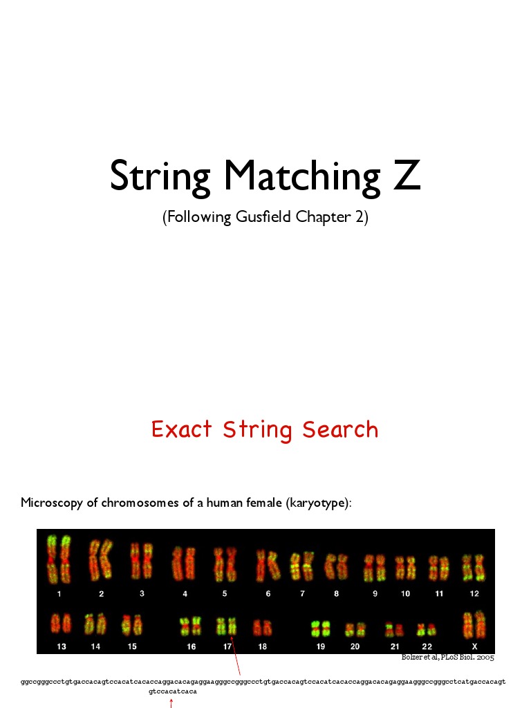 Z-Algorithm for Efficient String Matching | PDF | Time Complexity ...