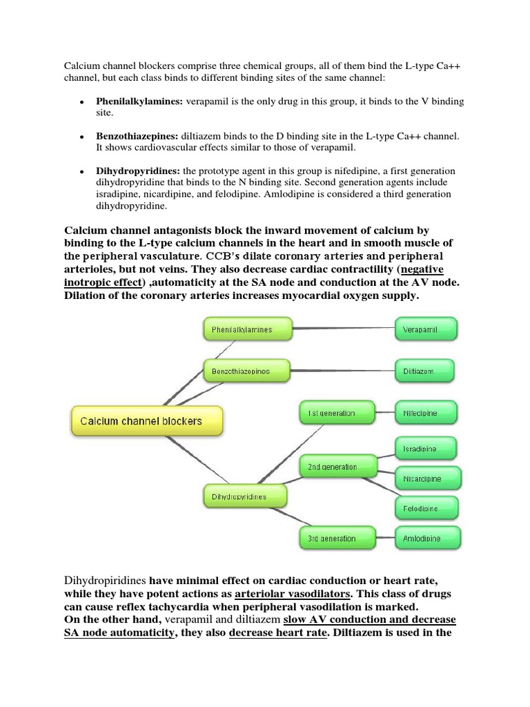 Calcium Channel Blockers | Heart | Cardiovascular Diseases