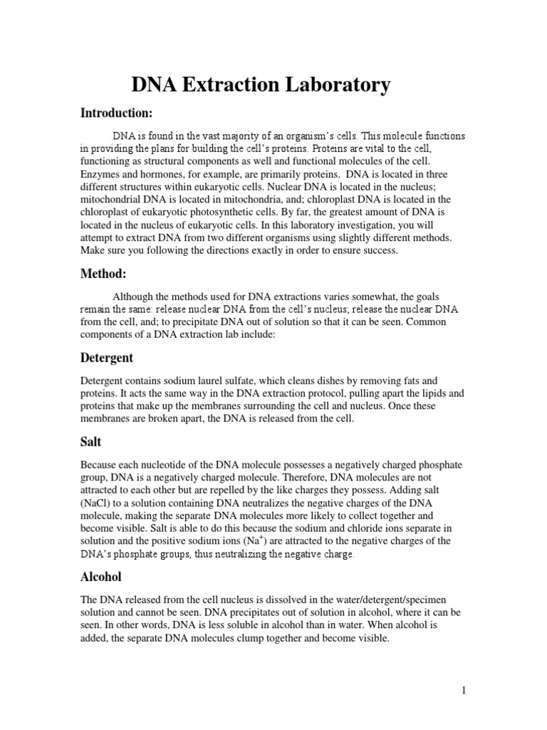 Lab DNA Extraction | PDF | Cell Nucleus | Cell (Biology)