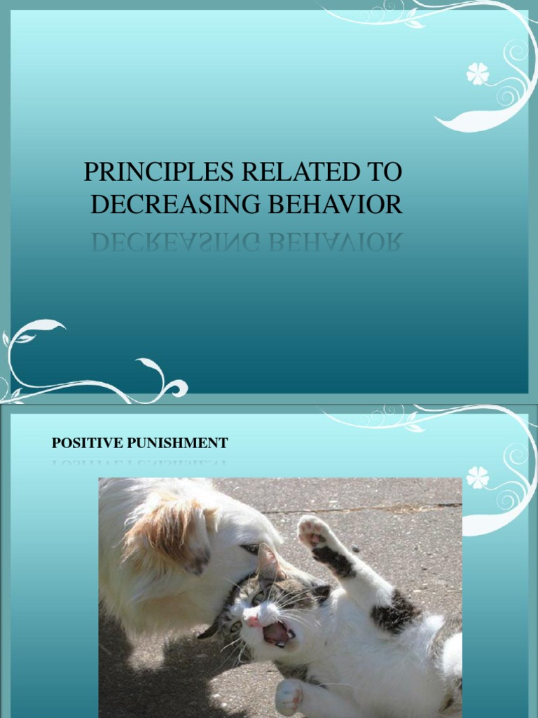 Behavior Reduction Techniques | PDF | Business | Finance & Money Management