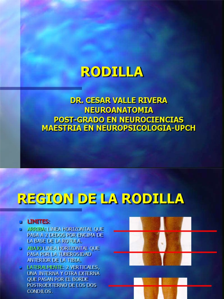 Anatomía de la rodilla: estructuras óseas, articulaciones, ligamentos ...
