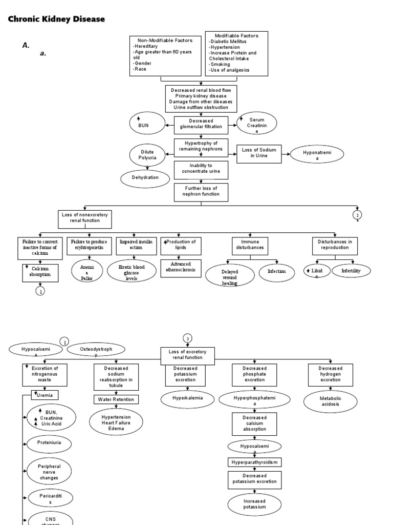 Pathophysiology of Chronic Kidney Disease | PDF