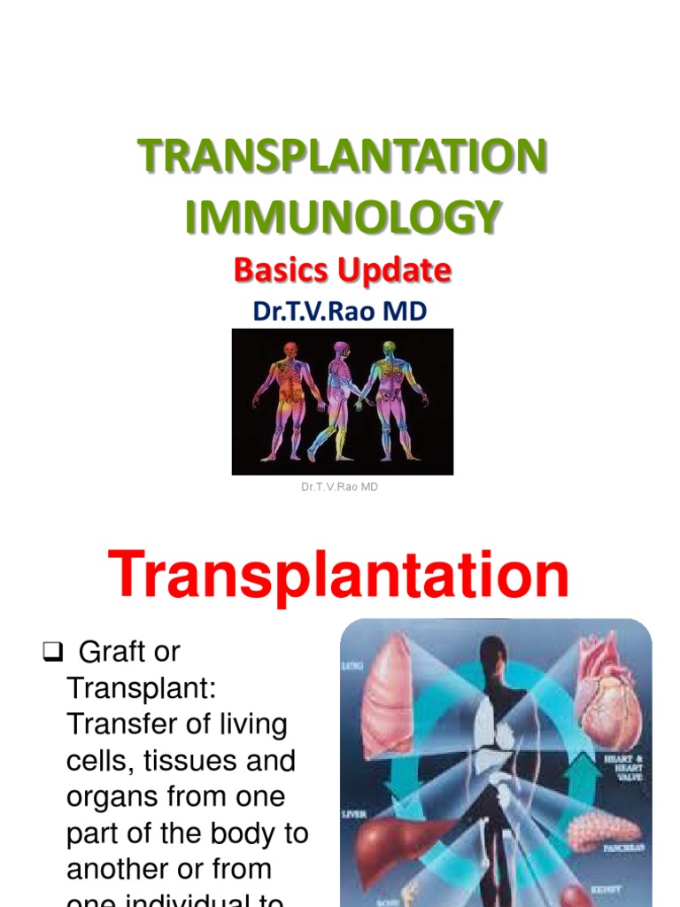 Transplantation Immunology | PDF | Transplant Rejection | Major ...
