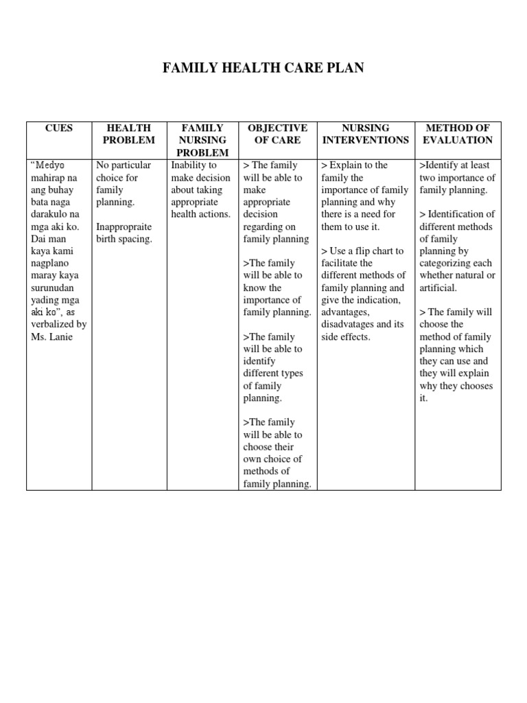 Family Health Care Plan Overview | PDF